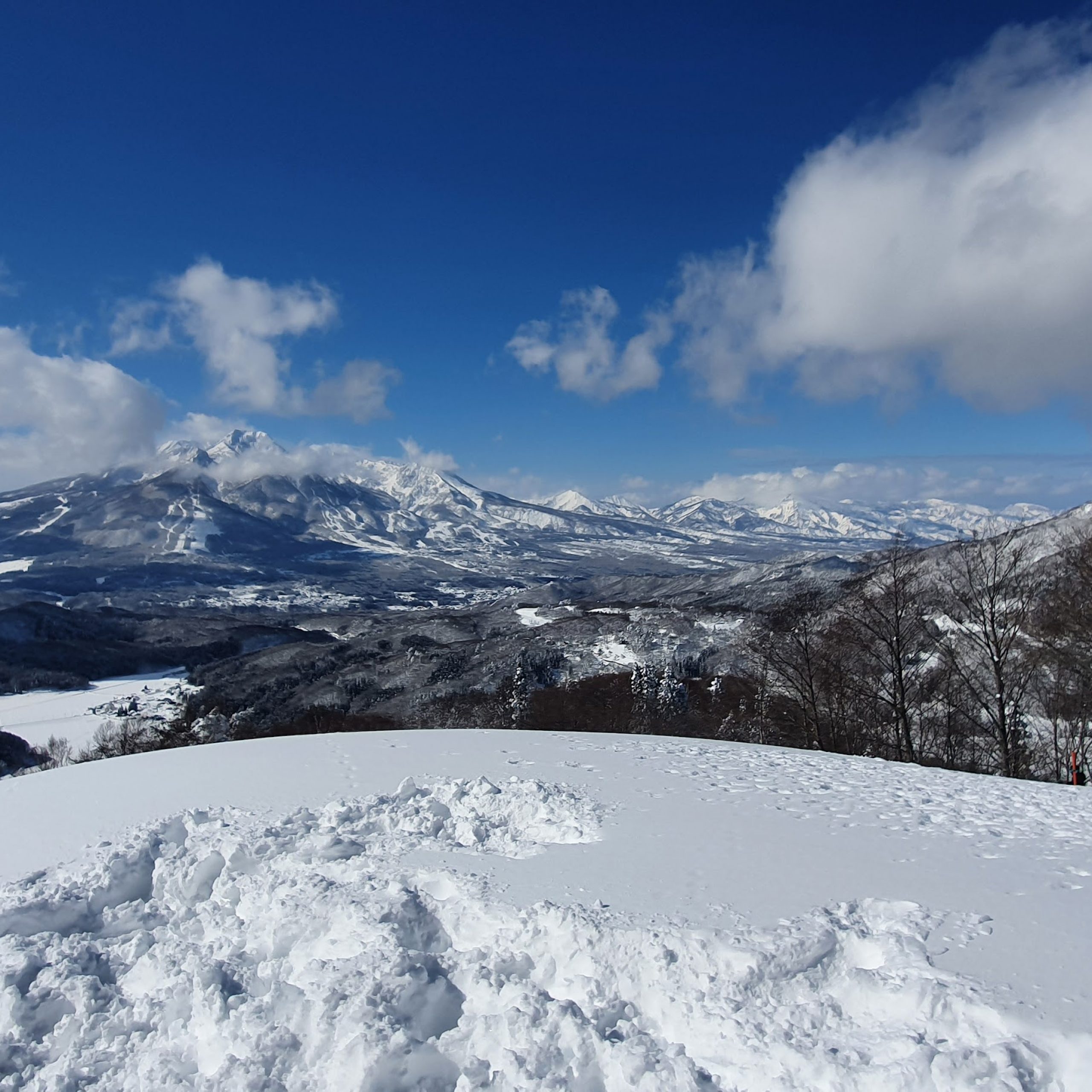 ¿Cómo es la nieve japonesa? » Mountain Live Travel